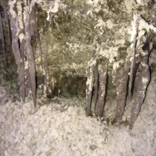 Mullah Said by Polar Academy on TIDAL