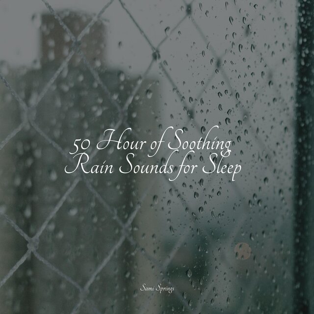 50 Hour of Soothing Rain Sounds for Sleep by Nature & Sounds ...