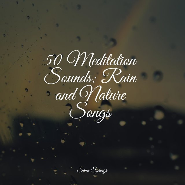 50 Meditation Sounds: Rain and Nature Songs by Ambient Arena on TIDAL