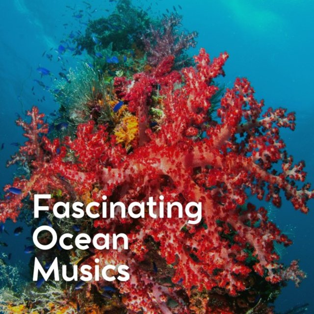 Fascinating Ocean Musics by Ocean Sounds FX on TIDAL