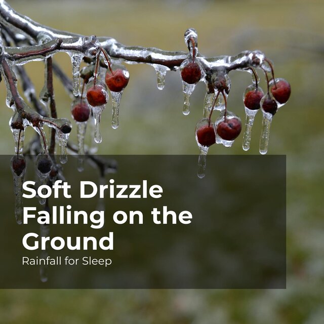 Soft Drizzle Falling on the Ground by Rainfall For Sleep on TIDAL