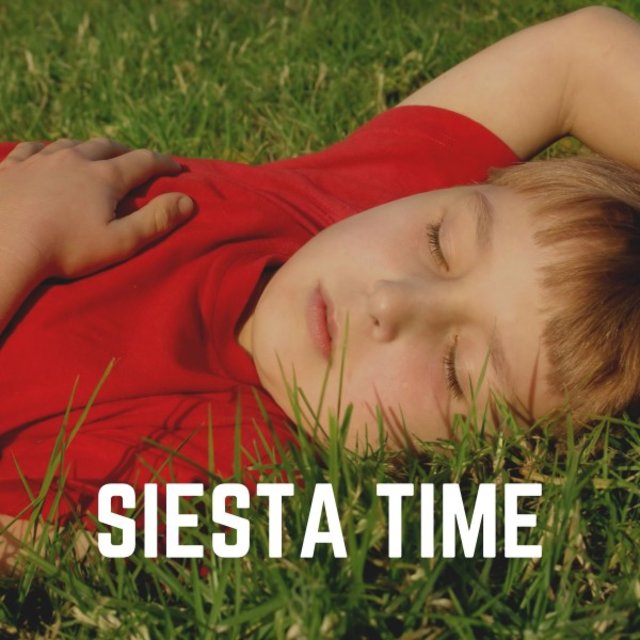 Siesta Time by Deep Sleep Background Noise on TIDAL