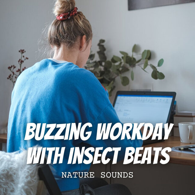 Nature Sounds: Buzzing Workday with Insect Beats by Native American ...