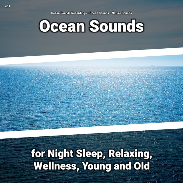 #01 Ocean Sounds for Night Sleep, Relaxing, Wellness, Young and Old by ...