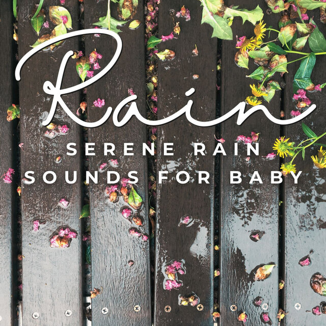 Raindrops and Lullabies: Serene Rain Sounds for Baby by Sample Rain ...