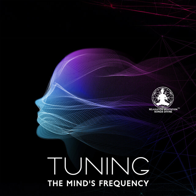 Tuning the Mind's Frequency by Relaxation Meditation Songs Divine on TIDAL