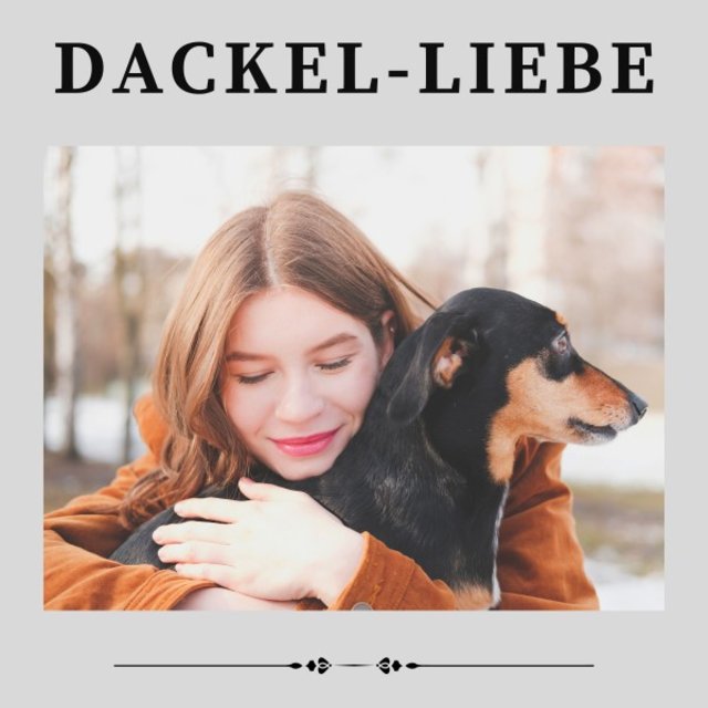 Dackel-Liebe by Hundemusik on TIDAL