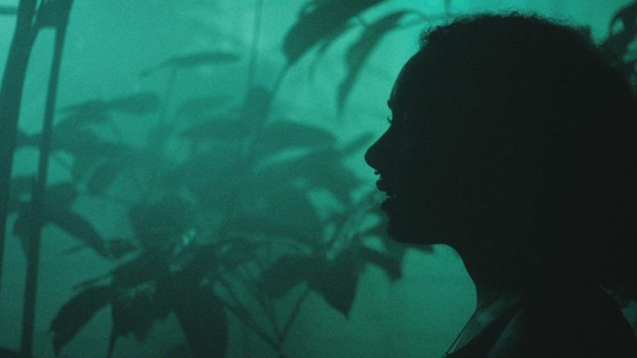 In My Dreams by Purple Ferdinand on TIDAL