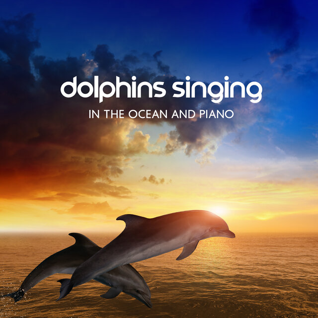 Dolphins Singing in the Ocean and Piano (Relaxing Instrumental Music ...