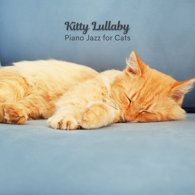 Kitty Lullaby: Piano Jazz for Cats by Relaxing Piano Jazz on TIDAL