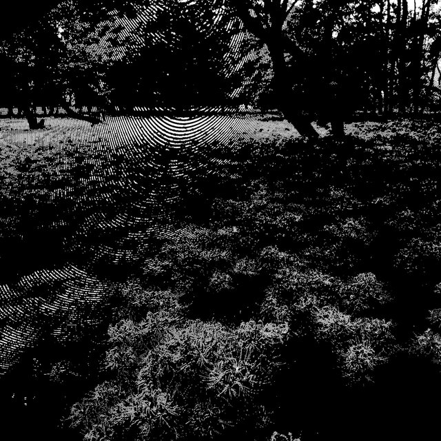 the ones who mimic by solunary on TIDAL