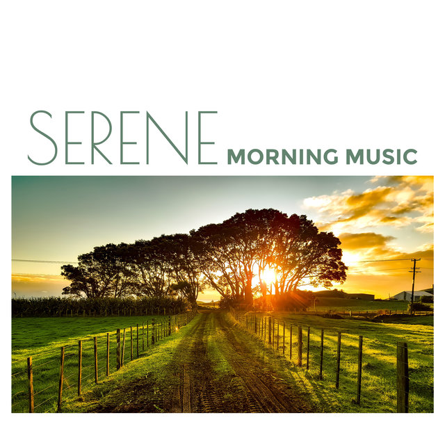 Serene Morning Music: Zen Music for Stress Relief, Positive Energy ...