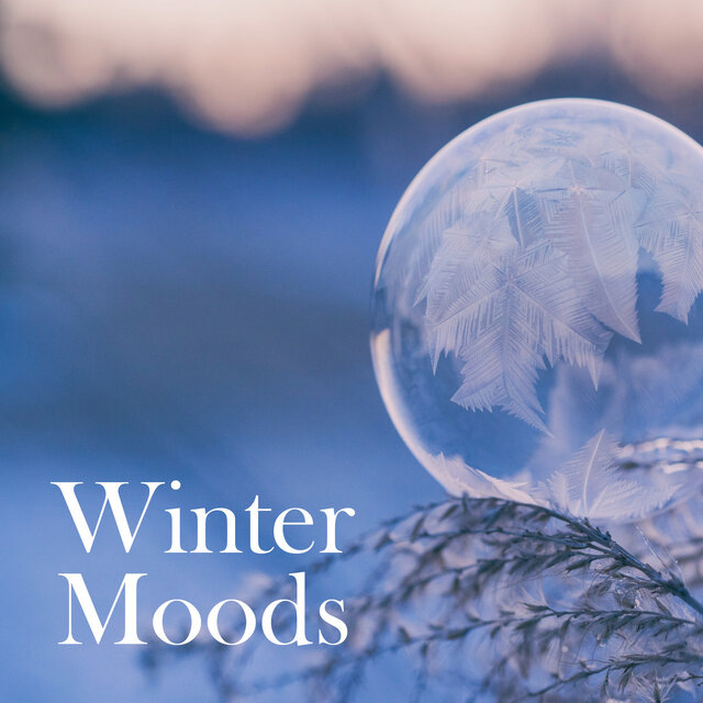 Winter Moods by Daniel Hope on TIDAL