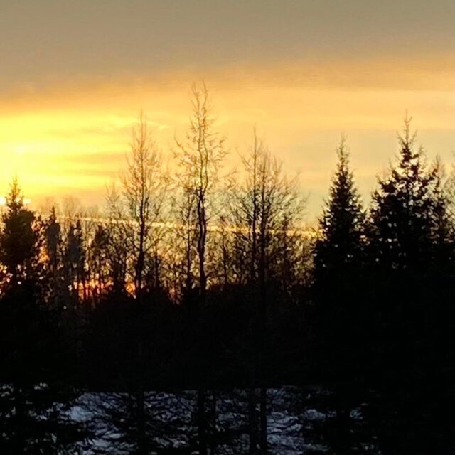 spring rain by Infinite Singularity on TIDAL