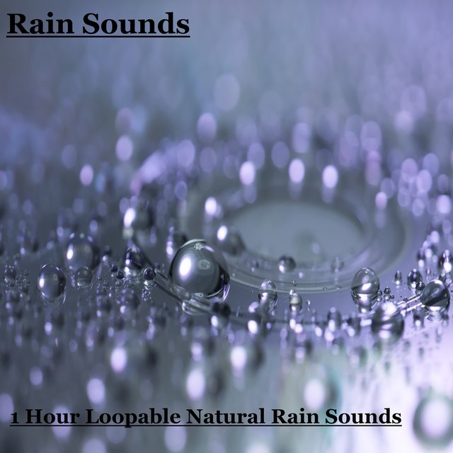 1 Hour Loopable Natural Rain Sounds by Rain Sounds on TIDAL