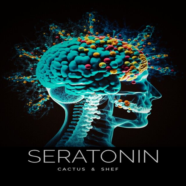 SERATONIN by Shef on TIDAL