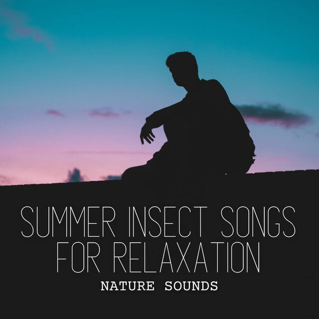 Nature Sounds: Summer Insect Songs for Relaxation by Night Crickets on ...