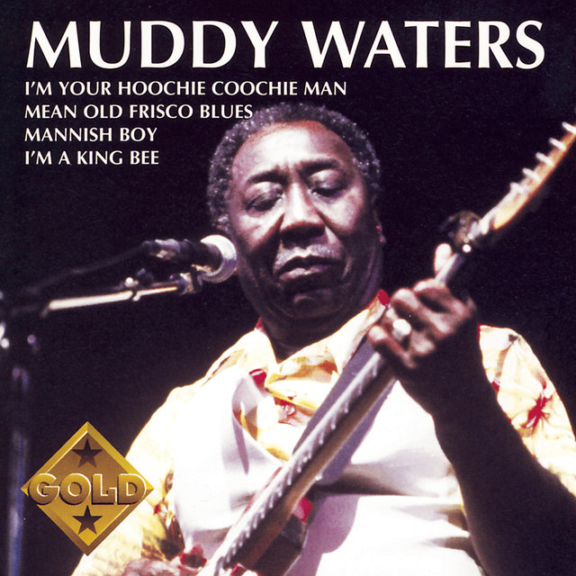 Muddy Waters by Muddy Waters on TIDAL