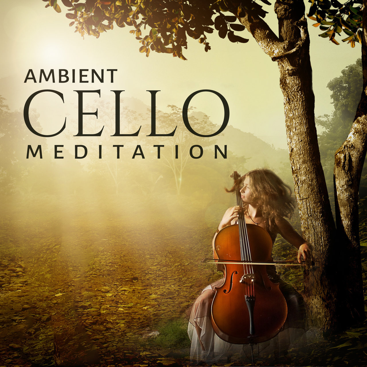 Ambient Cello Meditation: Relaxing Zen, Forest and Soothing Music for ...