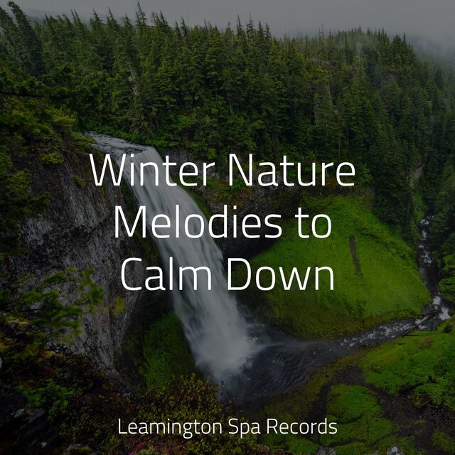 Winter Nature Melodies to Calm Down by Tailormade Ocean Waves on TIDAL