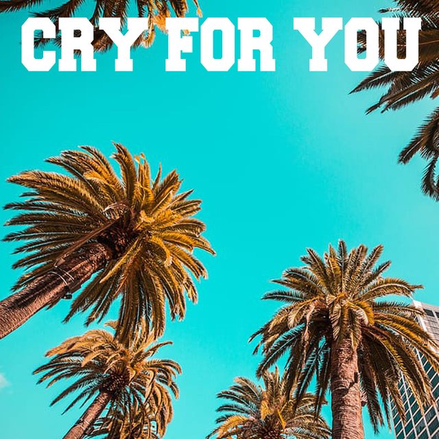Cry For You (feat. September) [Nide Remix] by Nide on TIDAL
