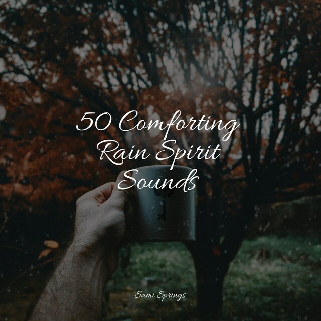 50 Comforting Rain Spirit Sounds by Rain for Deep Sleep on TIDAL