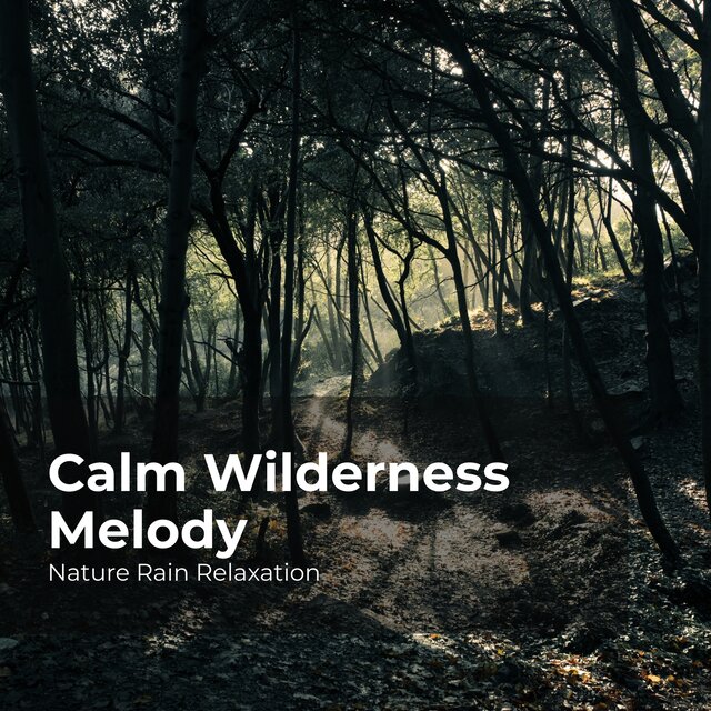 Calm Wilderness Melody by Nature Rain Relaxation on TIDAL