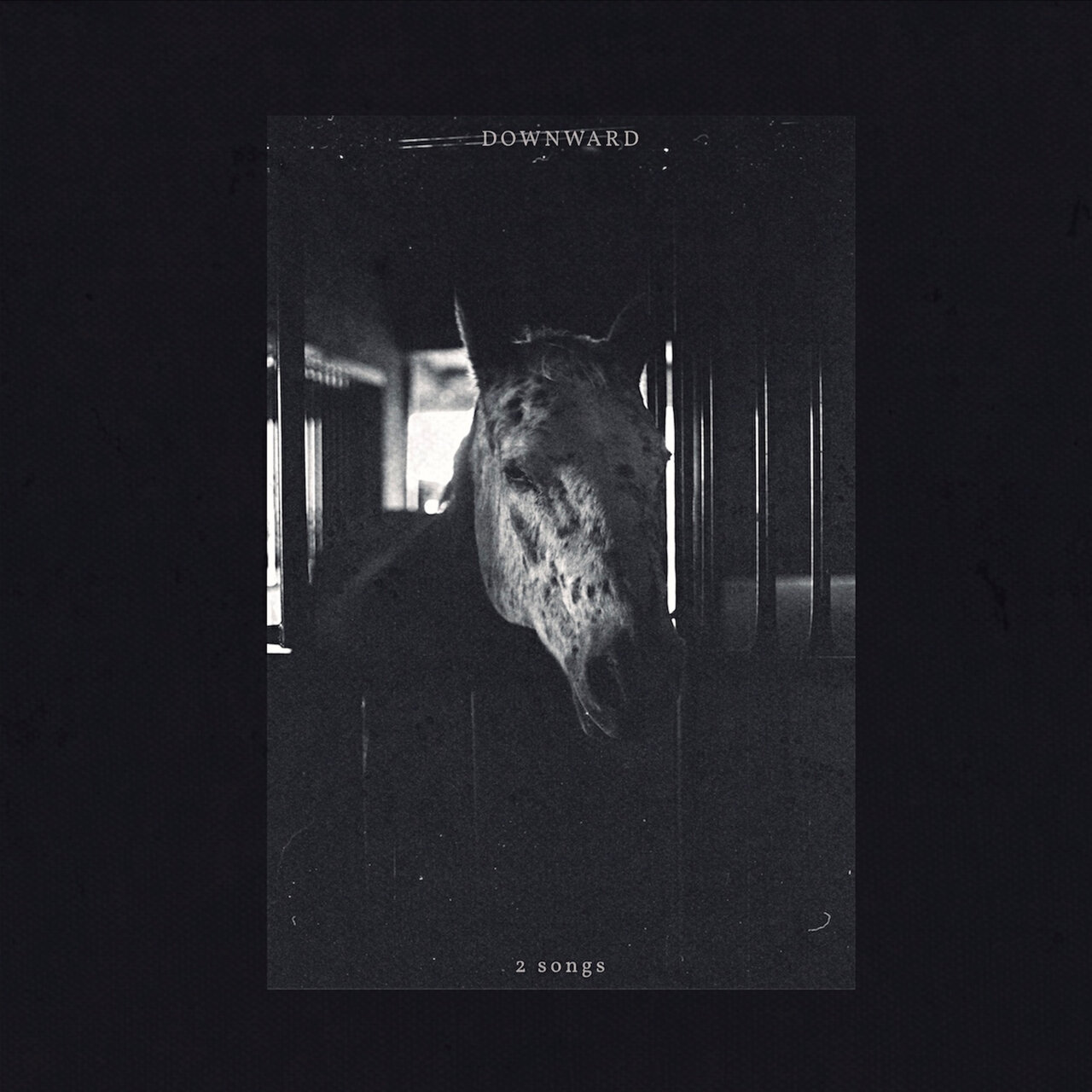 trauma ray on TIDAL
