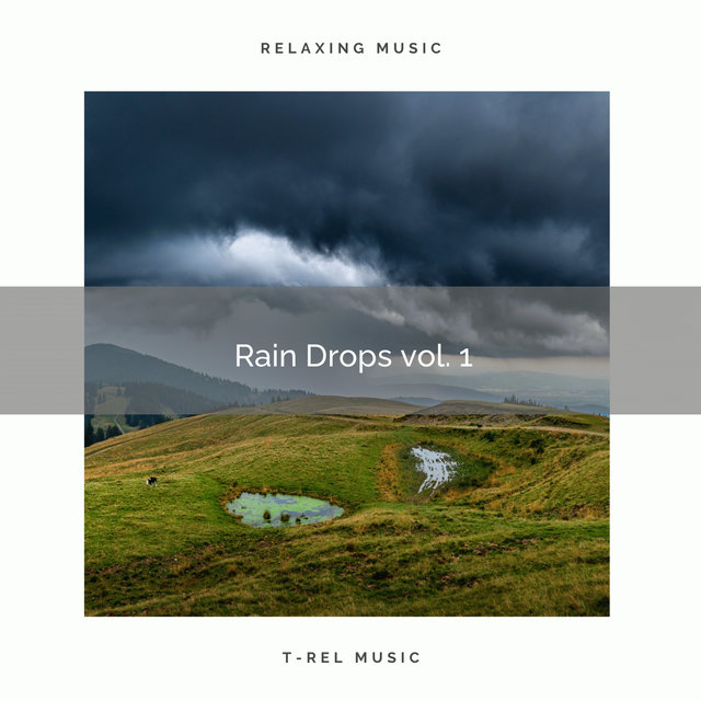 Rain Drops vol. 1 =- ! by Nature Sounds for Sleep and Relaxation on TIDAL
