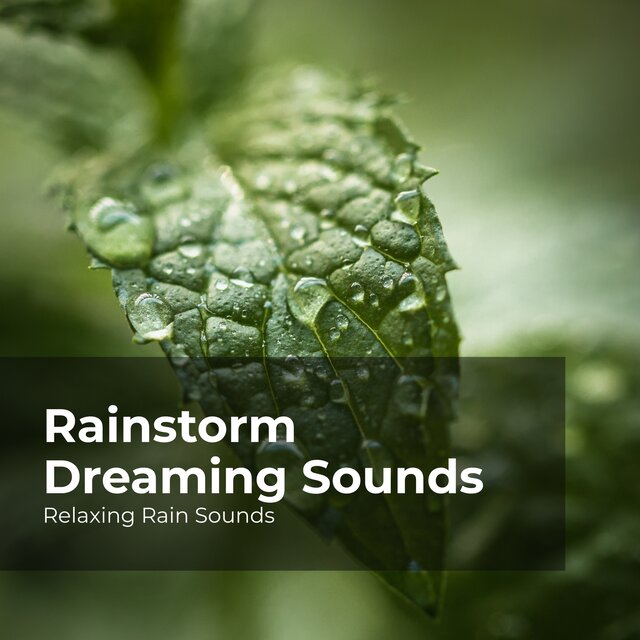 Rainstorm Dreaming Sounds by Relaxing Rain Sounds on TIDAL