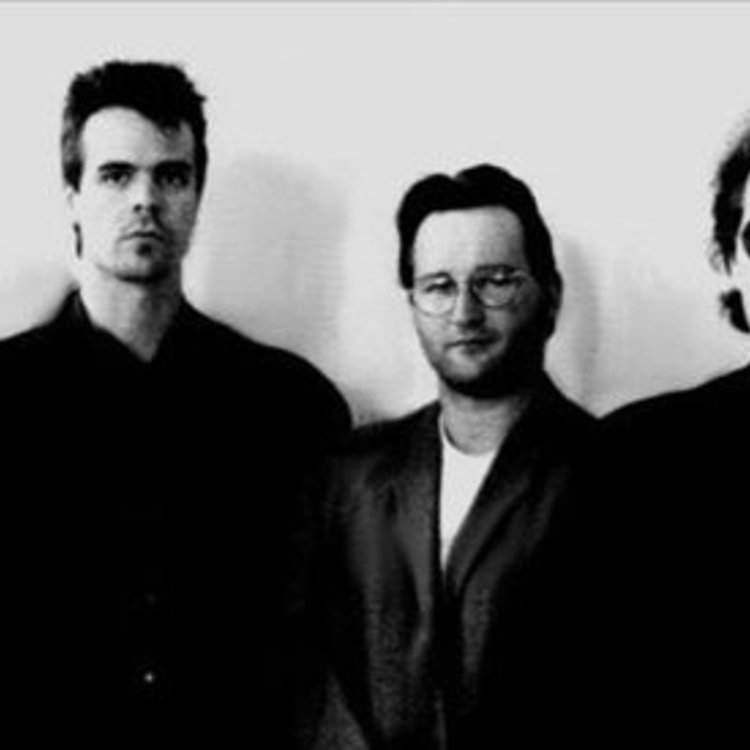 Daniel Amos on TIDAL