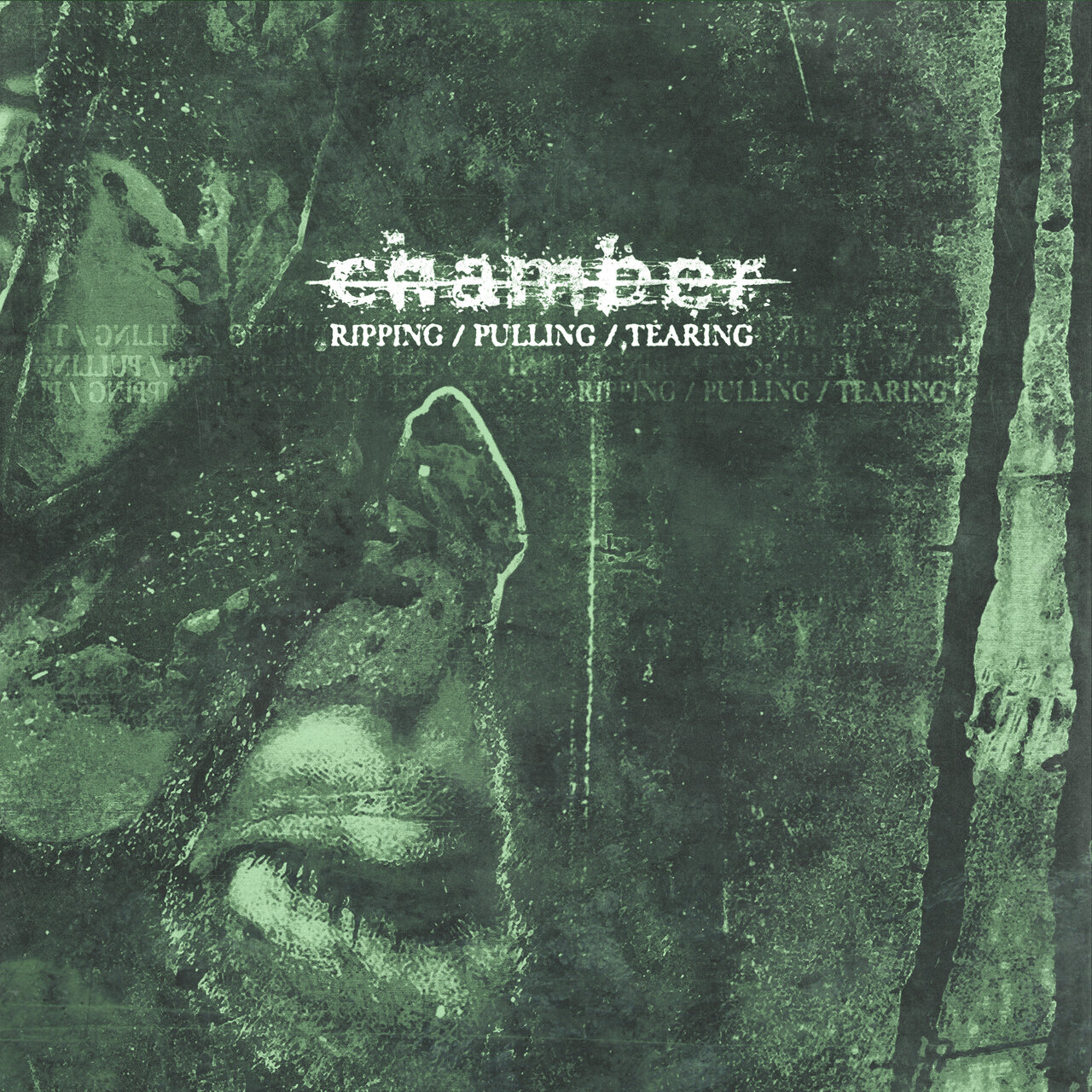 Chamber on TIDAL
