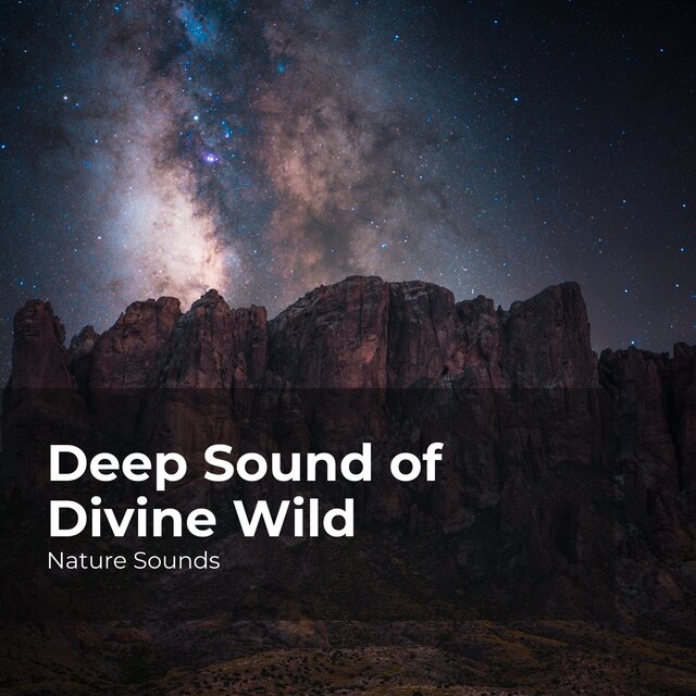 Deep Sound of Divine Wild by Nature Sounds on TIDAL