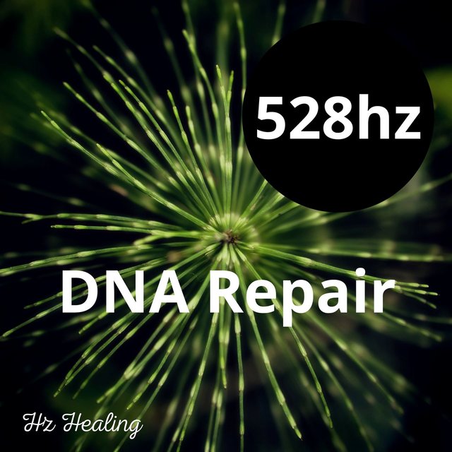 528hz DNA Repair by Hz Healing on TIDAL