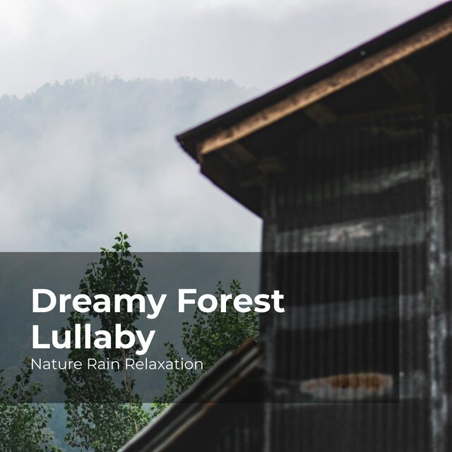 Dreamy Forest Lullaby by Nature Rain Relaxation, Rain Recorders ...