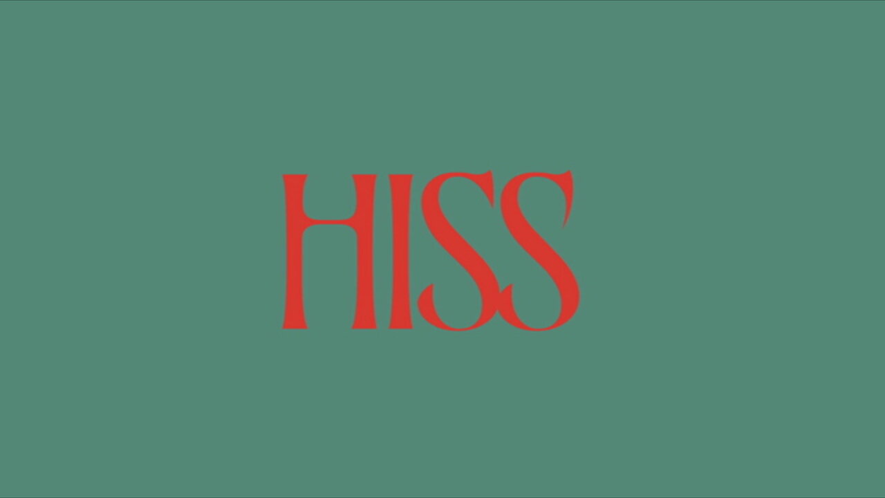 HISS (Lyric Video) by Megan Thee Stallion on TIDAL