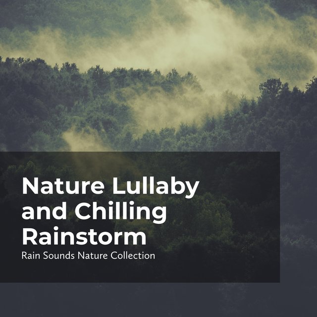 Nature Lullaby and Chilling Rainstorm by Rain Sounds Nature Collection ...
