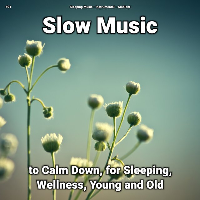 #01 Slow Music to Calm Down, for Sleeping, Wellness, Young and Old by ...