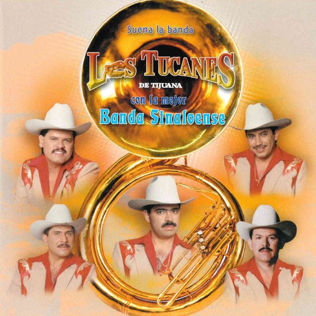 Mi Venganza (Version Banda) by Los Tucanes De Tijuana on TIDAL
