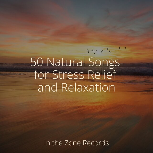 50 Natural Songs for Stress Relief and Relaxation by Massage Therapy ...