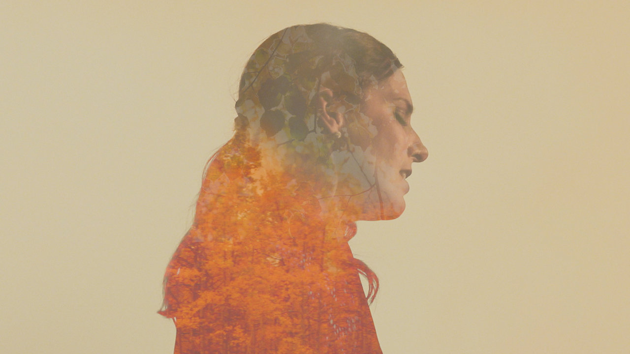 Freeway High (Official Video) by Bronte Fall on TIDAL