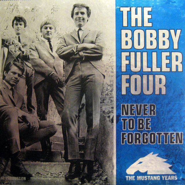 I Fought the Law (Single Version) by Bobby Fuller Four on TIDAL