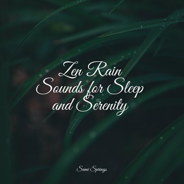 Zen Rain Sounds for Sleep and Serenity by Nature Sounds Artists on TIDAL