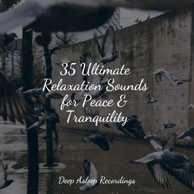 35 Ultimate Relaxation Sounds for Peace & Tranquility by Pink Noise on ...