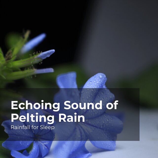 Echoing Sound of Pelting Rain by Rainfall For Sleep on TIDAL