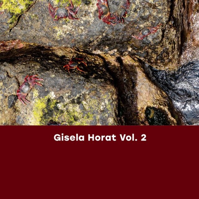 Gisela Horat Vol. 2 by Gisela Horat on TIDAL