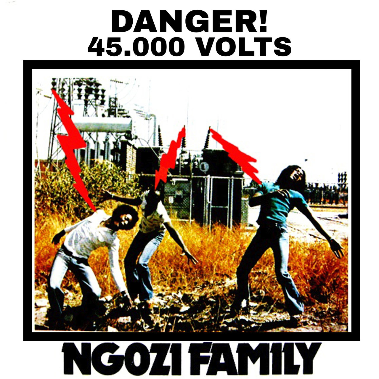 Ngozi Family on TIDAL
