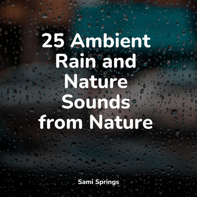 25 Ambient Rain and Nature Sounds from Nature by Ambient Forest on TIDAL