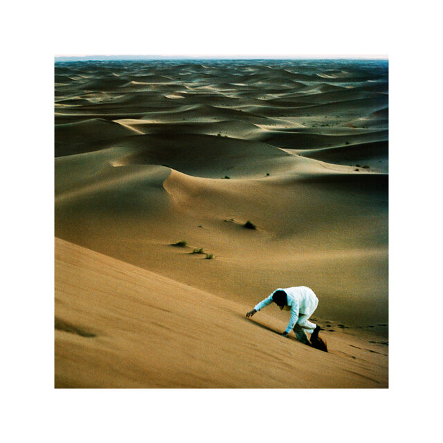 Prince of Tears by Baxter Dury on TIDAL