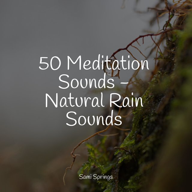 50 Meditation Sounds - Natural Rain Sounds by Rain Sound Plus on TIDAL